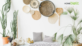 Biome Basics: Home Biome - Homebiotic - Probiotics For Your Home